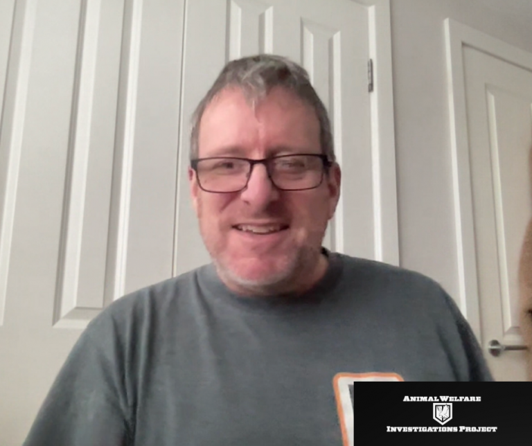 Exposed: Who is Andrew Ben O’Rourke?