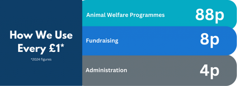 Company Information – Animal Welfare Investigations Project